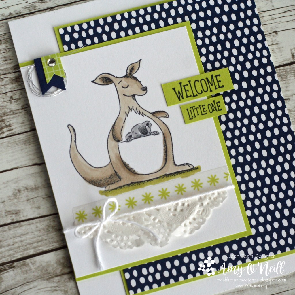 Animal Welcome — FMS337