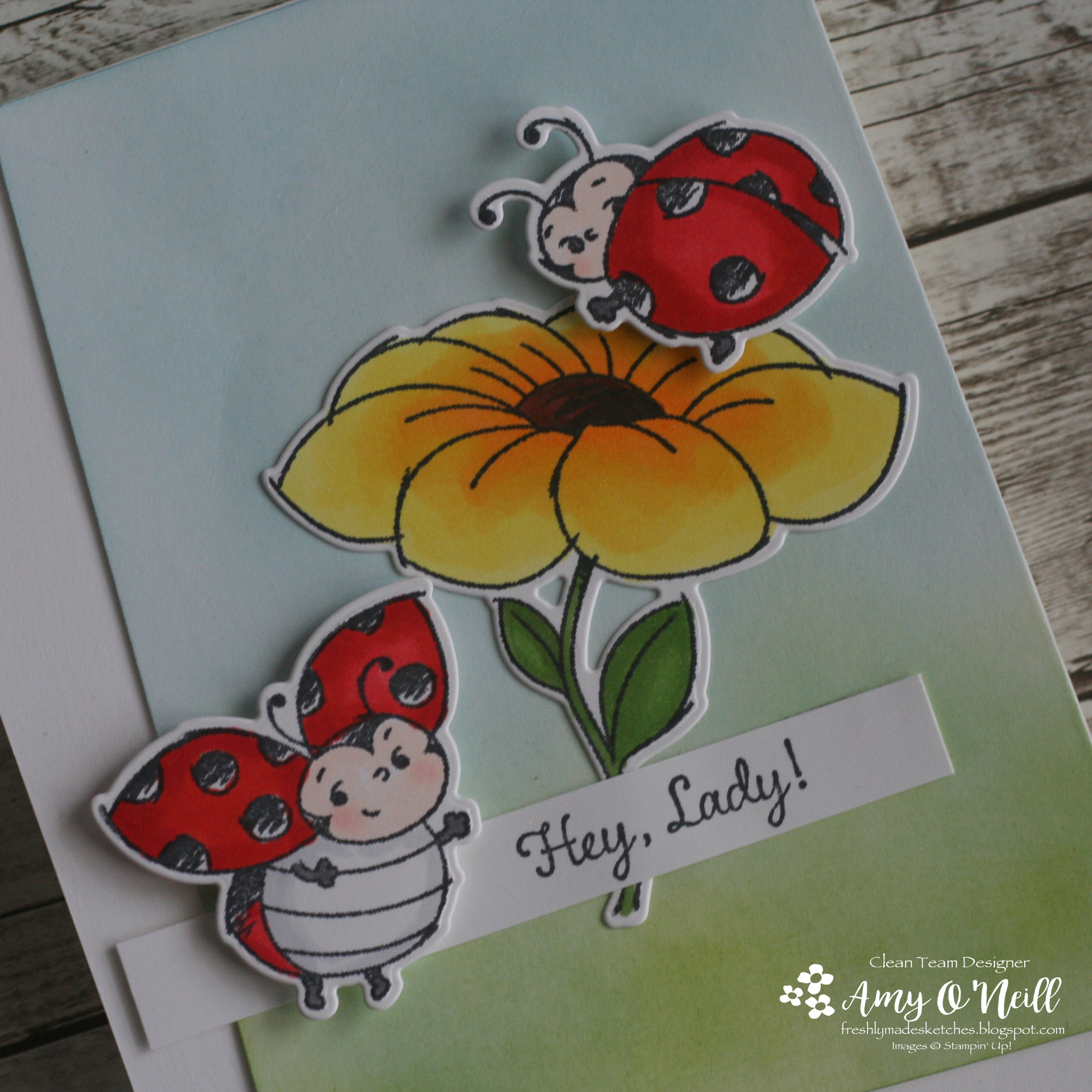 Hey, Little Ladybug — FMS419