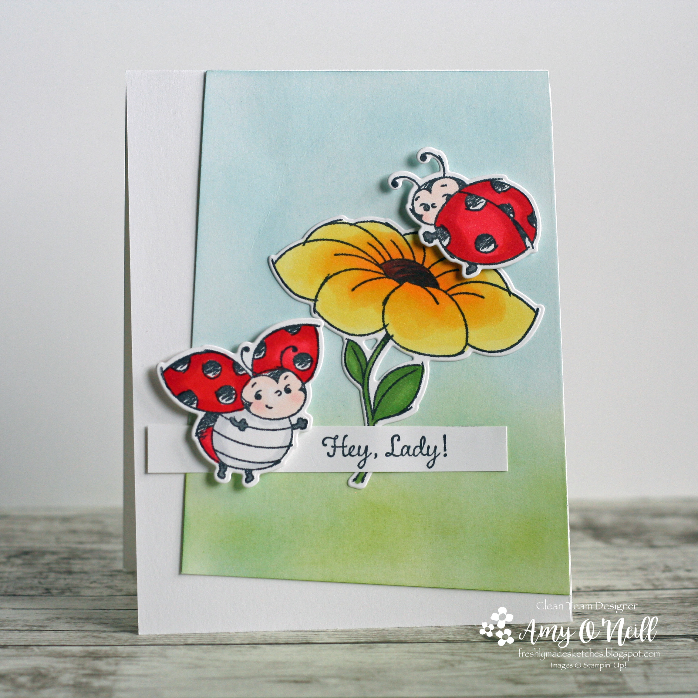 Hey, Little Ladybug — FMS419