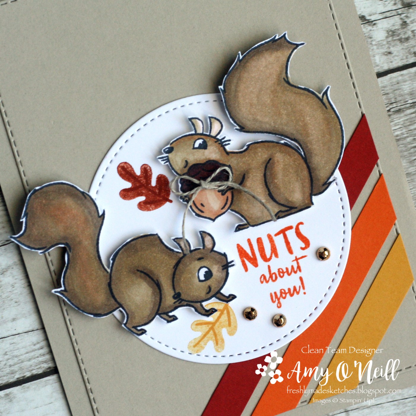 Nutty Squirrels — FMS506