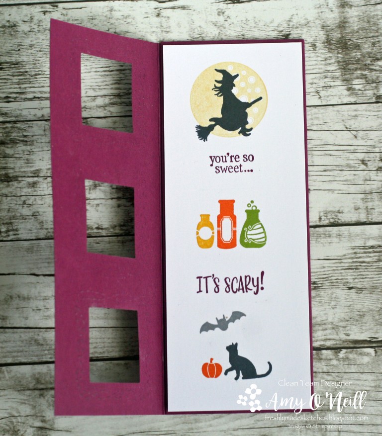 Windows to Halloween — FMS509