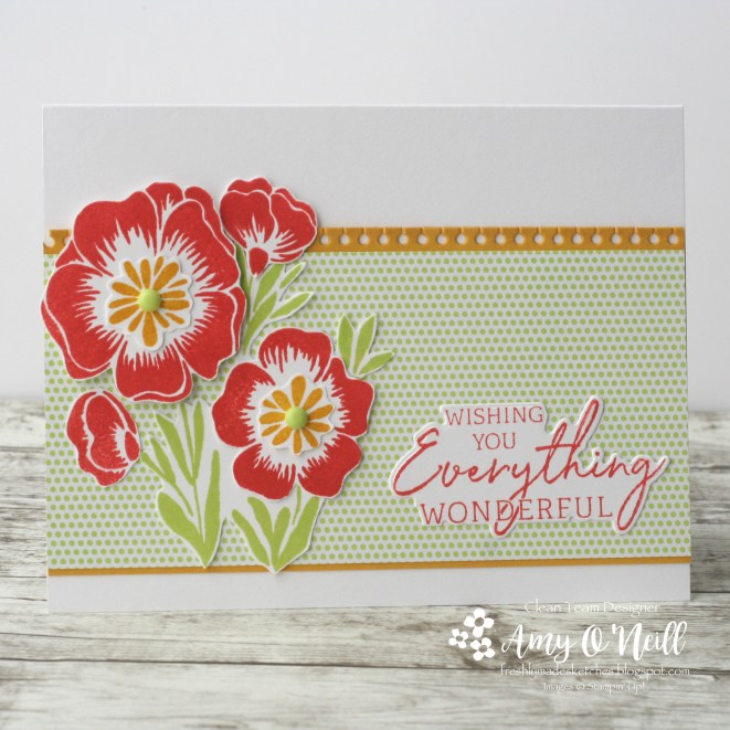 Everything Wonderful — FMS542